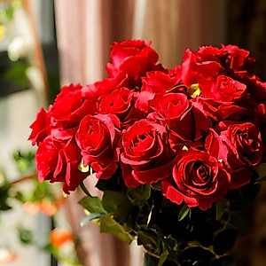 Hawesome Artificial Flowers 10 PCS Silk Roses with Long Stems Faux Realistic Roses for Wedding Bouquets Table Centerpieces Party Home Decor(White)