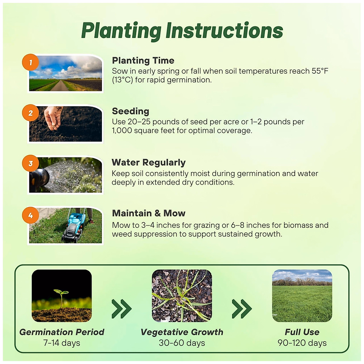 Outsidepride 25 lb. Annual Ryegrass Hay, Forage, & Pasture Seed