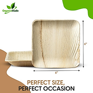 Organix Made - Disposable Palm Leaf Bamboo Plates, 6 Inch Square (50 Plates) - Appetizer and Dessert Dinnerware Plates - Biodegradable, Compostable, & Eco-Friendly Plates - Light & Sturdy