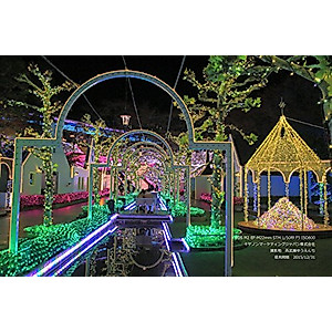 Canon Mirror-Less SLR Camera EOS M2 Triple Lens kit (Black) EF-M18-55mm F3.5-5.6 is STM EF-M22mm F2 STM EF-M11-22mm F4-5.6 is STM Comes EOSM2BK-TLK [International Version, No Warranty]