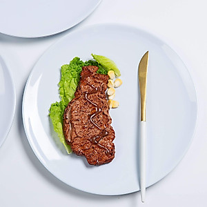 Webbylee Melamine Dinner Plates - 6pcs 10inch Dinnerware Dishes Set for Indoor and Outdoor Use, Break-resistant, White