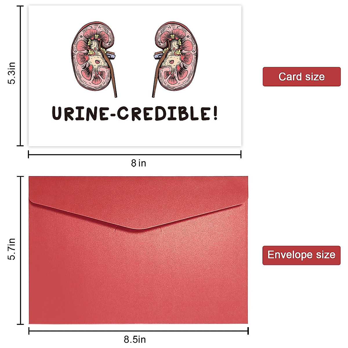 Humor Graduation Card for Medical Student Nurse, Funny Thank You Card for Nephrologist Doctor Kidney Donor, Kidneys Pun Greeting Card for Friends, Appreciation Card