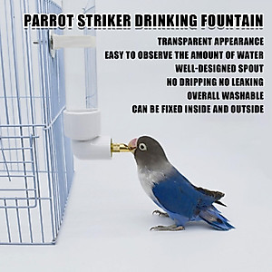 Bird Water Feeder,1PC Automatic Parrot Water Dispenser Bird Water Bottle with Cleaning Brush,Bird Cage Accessories Bird Drinker Bowl Fountain for Parrot Budgie Lovebirds Cockatiel Parakeet,130ML