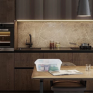 Idomy 4-Pack Clear Plastic Storage Latch Box with Lids, 14 L