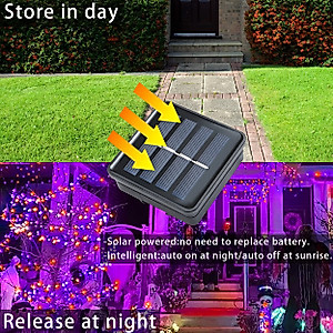 YAOZHOU Halloween Decorations Outdoor Lights, Solar String Lights Purple Orange IP67 Waterproof 2 Pack Total 200 LED 66FT 8 Modes Fairy Lights, Outside Fall Decor for Tree, Garden, Patio, Fence, Lawn