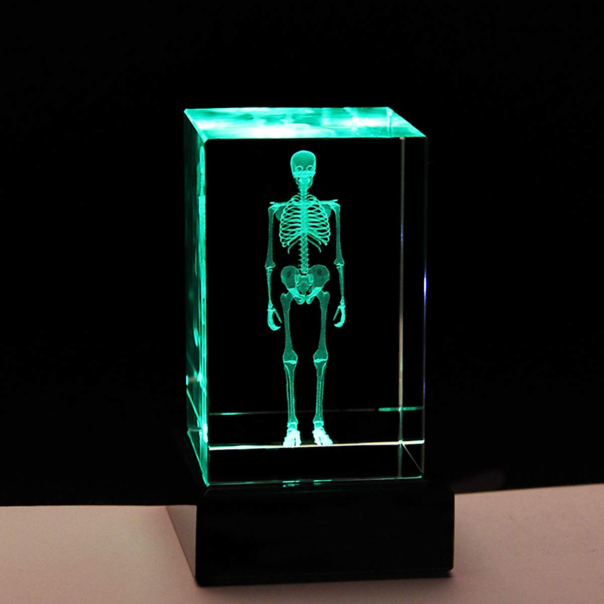 3D Human Skeleton Anatomical Model Paperweight(Laser Etched) in Crystal Glass Cube Science Anatomy Gift (No Included LED Base)(3.1x2x2 inch)