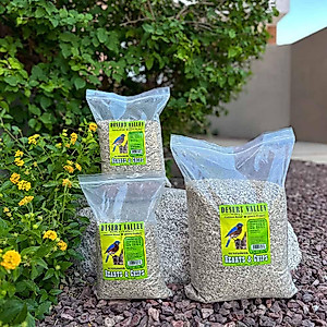 Desert Valley Sunflower Hearts and Chips Seed, All Natural, Non-GMO Premium Wild Bird and Wildlife Food (3 Pounds)