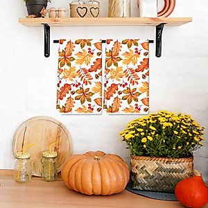 JarThenaAMCS Fall Leaves Kitchen Towels Watercolor Maple Leaves Dish Towels 18 x 28 Inch Autumn Hand Drying Tea Towels for Thanksgiving Cooking Baking Cleaning Wipe, Set of 2