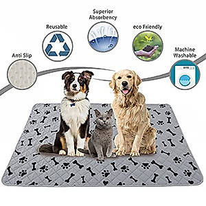 nanbowang Dog Crate Pee Pads - Wahable Dog Rugs Non-Slip Puppy Pads for Small Dogs, Water Absorb Training Pads(1824 Gray)