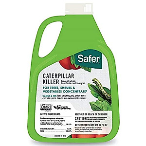 Safer Caterpillar Killer Multiple Insects 16 Oz
