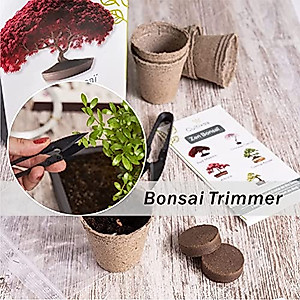 Yardwe 12pcs Bonsai Trimmer Tools Trimming Shears Professional Bonsai Pruning Tool Garden Bonsai Shears Leaves Scissors Pruning Scissor Trimmer Tool Small High-Carbon Steel Pruning Shears