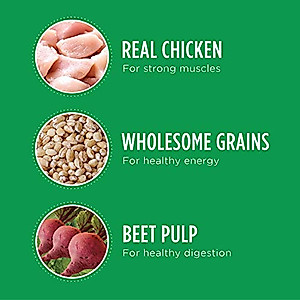 IAMS Small & Toy Breed Adult Dry Dog Food for Small Dogs with Real Chicken, 7 lb. Bag