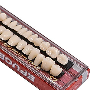 Angzhili Dental Acrylic Resin Denture Tooth Kit False Tooth For Halloween Horror Prop 23 A2(28 Pcs/Set)