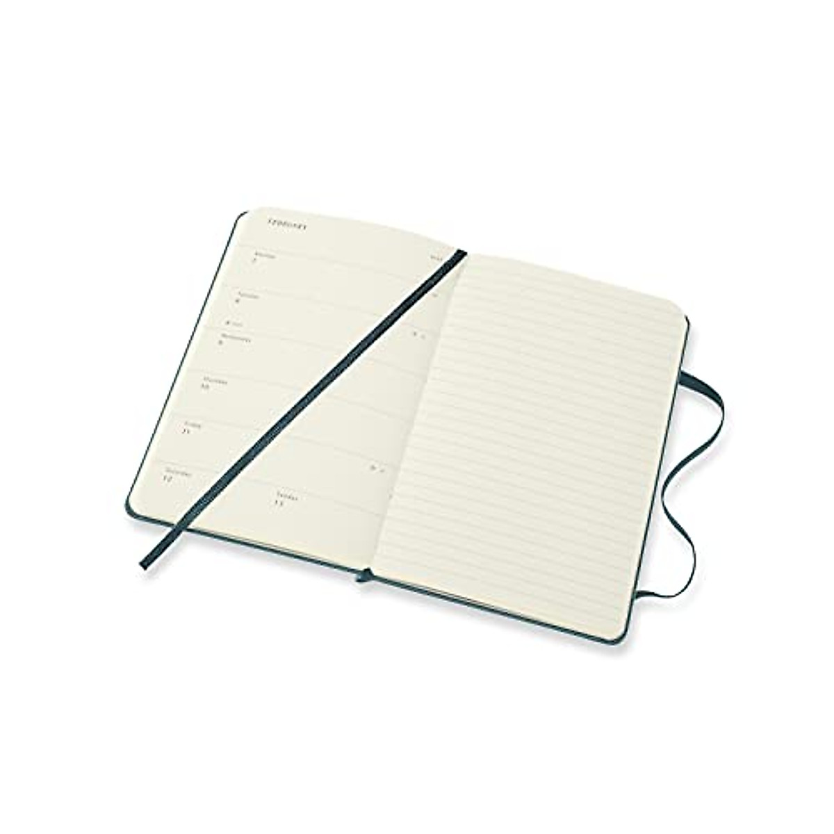 Moleskine Limited Edition Harry Potter 18 Month 2021-2022 Weekly Planner, Hard Cover, Pocket (3.5" x 5.5"), Tide Green