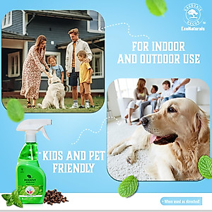 All Natural Peppermint Oil Spray, Non-Toxic Rat Repellent to Repel Mice and Rats, Rodent Repellent Spray - 8oz Ready to Use