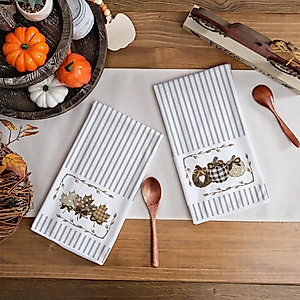 GEEORY Fall Kitchen Dish Towels Set of 2,Beige Pumpkin Maple 18x26 Inch Drying Dishcloth,Farmhouse Home Decoration GD150
