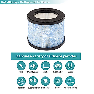 Lhari 2-Pack H13 MA-01CW True HEPA Filter Replacement, Compatible with Miko Ibuki Air Purifier C102