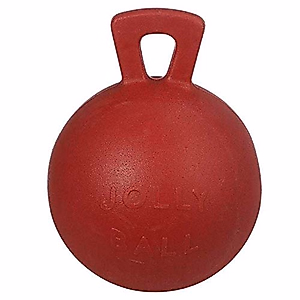 Jolly Ball Blueberry