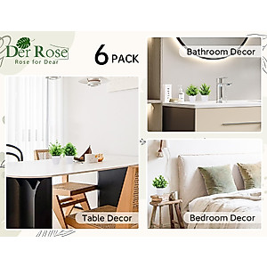 Der Rose 6 Pack Fake Plants Mini Artificial Plants for Home Office Farmhouse Bathroom Shelf Decor Indoor