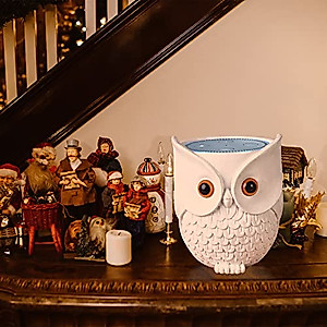 KeyEntre Owl Shape Smart Home Guard Owl Statue Crafted Guard Station for Google Home Mini Google Nest Mini (2nd Gen) Dot 2rd/ 3rd/4rd Generation Station Clean Space Saving Guard Holder Guard Station