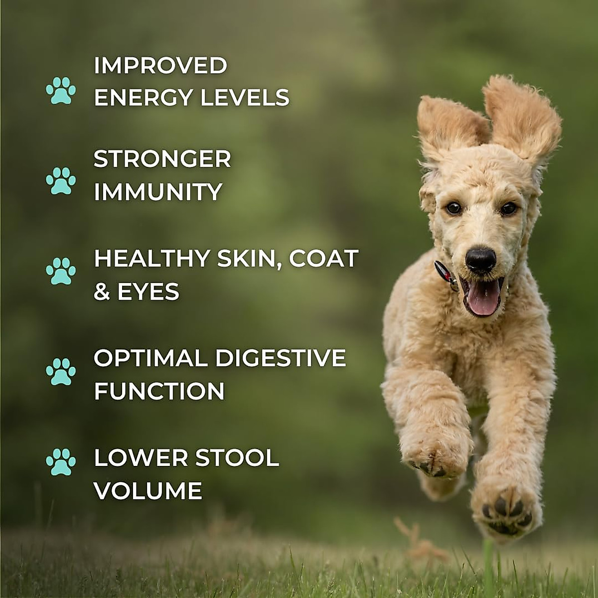 TOP SHELF DOG Chicken Dinner Meal I All Natural Fresh Human Grade Pre Made Dog Food Topper I Mixer, Treat, Additive for Nutrition for Picky Eaters, Puppies, Senior Dogs, Gluten Free (7 x 8oz Pouches)