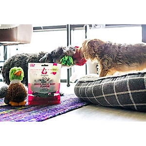 SHAMELESS PETS Soft-Baked Dog Treats, 6oz (Duck Duck, Beet 3-Pk) | Natural, Grain-Free Dog Biscuits | Supports Healthy Digestion | Made w/Upcycled Ingredients