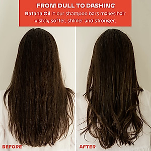 NOLE CARE Shampoo and Conditioner Bar Set, Rosemary Mint with Batana Oil - Rice Protein Shampoo Bar, Anti Dandruff Shampoo Bar Sulfate Free, Sustainable, 100% Plastic Free Packaging, 5.12 oz