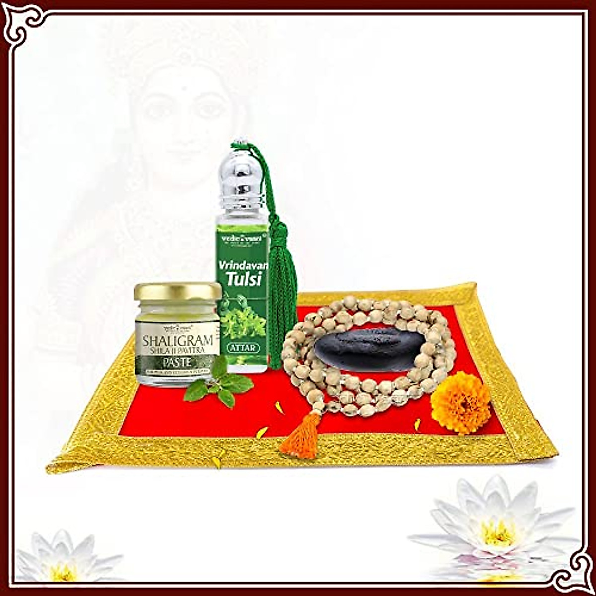 Vedic Vaani Sacred Varaha Lakshmi Laxmi Shankhu Shaligram Shila (Pack of 4)