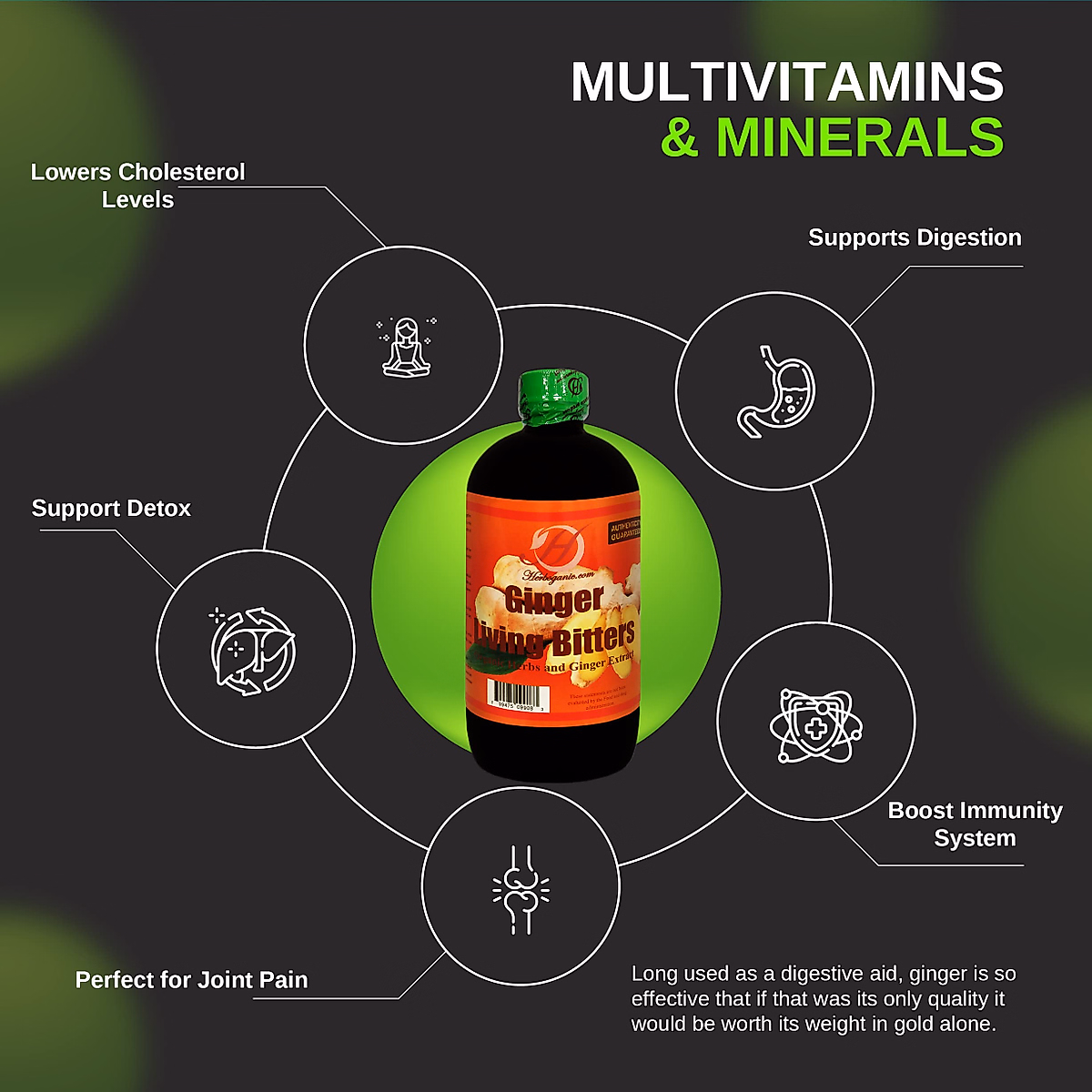 Herboganic Ginger Living Bitters | All Natural Living Bitters | 16 oz