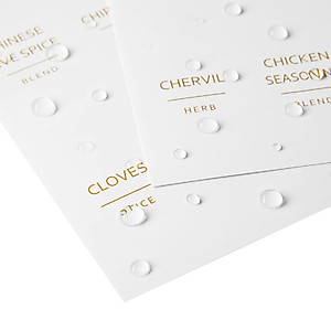 140 Pieces Gold Spice Jar Labels, Minimalist Preprinted All Caps Text on White Stickers for Seasonings, Herbs, Kitchen Organization (Water Resistant)