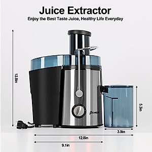 Panana Centrifugal Juicer Extractor with Wide Mouth 3” Feed Chute for Fruit Vegetable, Easy to Clean, Stainless Steel, BPA-free (Silver)