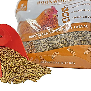 Pecking Order Boonworms 100% Black Soldier Fly Larvae