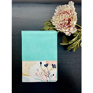 Santa Biblia NTV, Edición compacta, letra grande (SentiPiel, Menta, Letra Roja) (Spanish Edition)