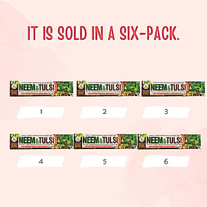 Pack of 4 - Organic Neem 10 in 1 Fluoride Free Toothpaste - Neem, Clove, Black Seed, Cardamon, Aloe Vera, Tea Tree Oil, Miswak, Clove - Herbal Blend - 7.05 oz