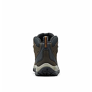 Columbia mens Newton Ridge Plus Ii Waterproof Hiking Boot, Cordovan/Squash, 10 US