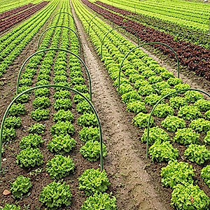 Greenhouse Hoops,Plastic Coated Hoops with Steel Inside Rust-Free Grow Tunnel Tunnel Support Hoops for Garden Fabric,19.7"x19.7"/6-Pack