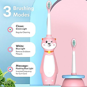 DADA-TECH Kids Electric Toothbrush Rechargeable, Sonic Silicone Teeth Brush with Timer for Children Boys Girls Ages 3+, 3 Modes with Memory, 4 Soft Brush Heads (Pink Shiba Inu Dog)