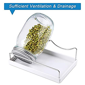 -Seed Sprouting Jar Kit| 2 Wide Mouth Quart Sprout Mason Jars with 316 Stainless Steel Lids,Tray,Stand| Sprouter for Growing Broccoli,Alfalfa (White)