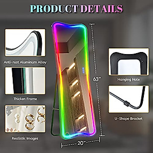DNBSS 63"x20" RGB LED Full Length Floor Mirror With Lights, Free Standing & Wall Mount, Full Body Lighted Stand Up Mirror for Bedroom (Black RGB)