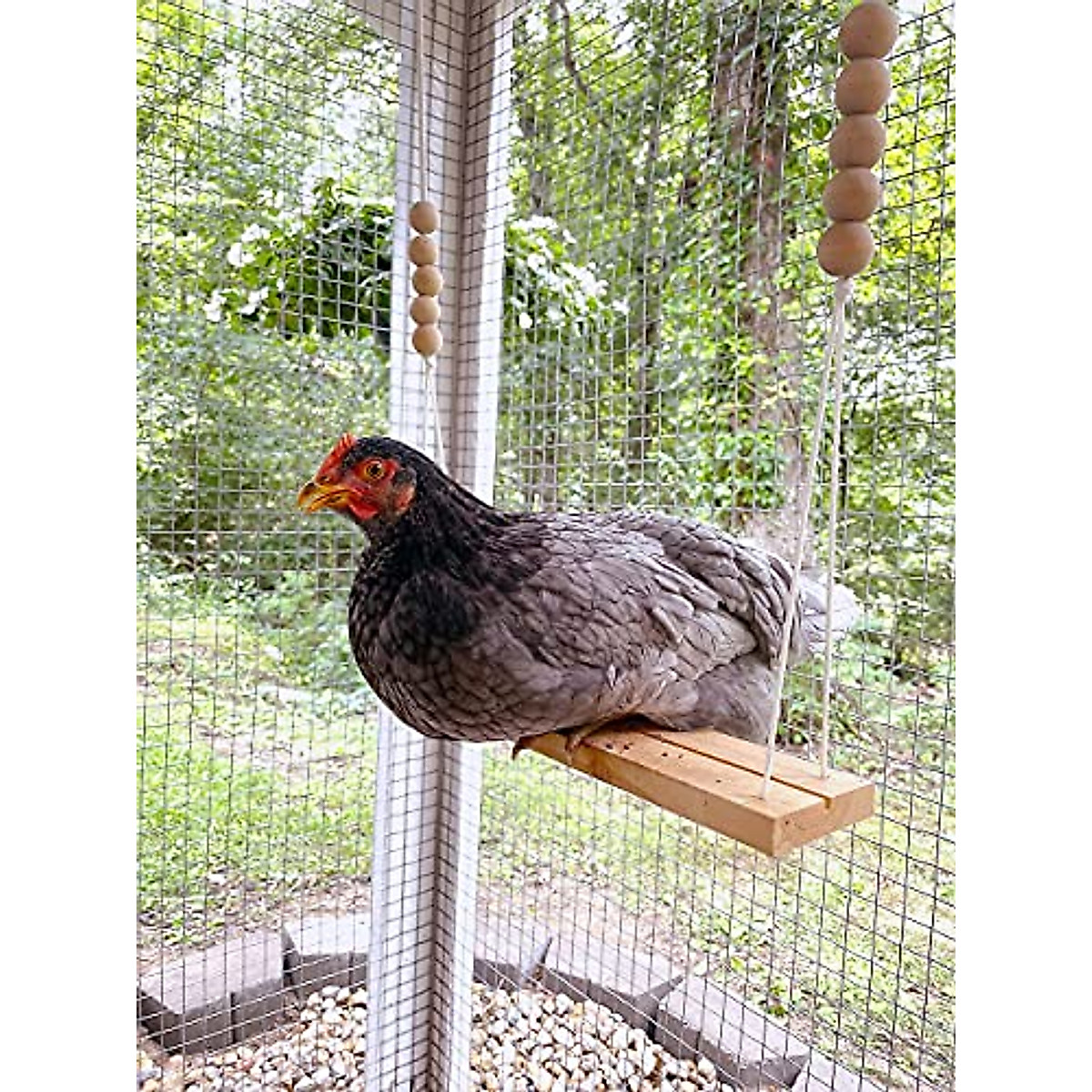 Chicken Swing Toy for Coop Handmade in USA!!! Natural Safe Wooden Accessories Large Durable Perch Ladder for Poultry Run Rooster Hens Chicks Pet Parrots Macaw Entertainment Stress Relief for Birds