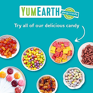 YumEarth Organic Pops Variety Pack, 14 Fruit Flavored Favorites Lollipops, Allergy Friendly, Gluten Free, Non-GMO, Vegan, No Artificial Flavors or Dyes