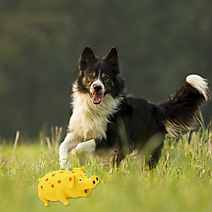 HCHYEY Pig Squeaky Dog Toy, 2 PCS Interactive Rubber Dog Chew Toy - Durable Latex Spot Grunting Pig Toys That Oink for Small Medium Large Dogs (Yellow, Green)