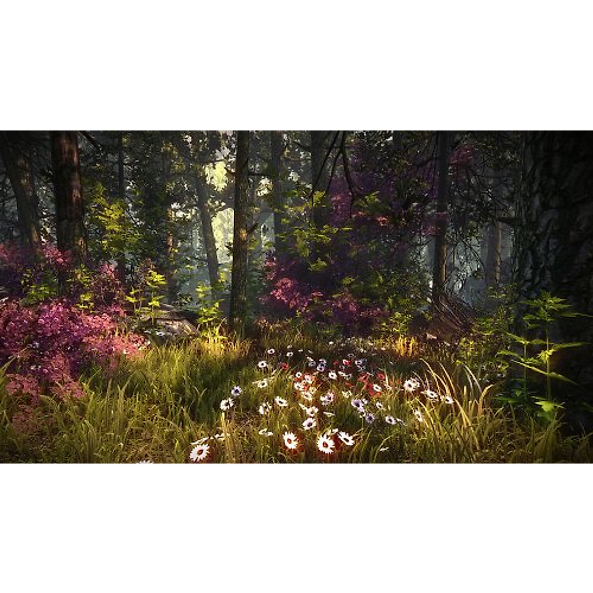 The Witcher 2: Assassins Of Kings Enhanced Edition