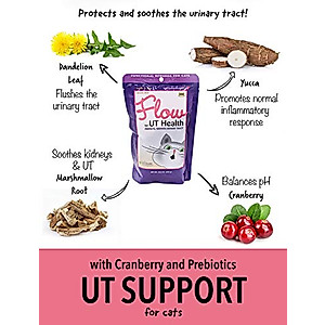 In Clover Flow Soft Chews for Daily Support for UT Health in Cats, Scientifically Formulated with Natural Ingredients for a Healthy Urinary Tract. 2.1oz. (60gm)
