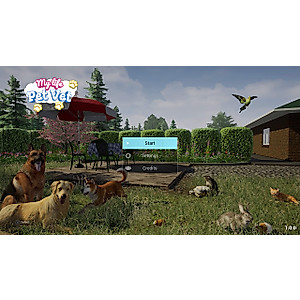My Life: Pet Vet (PlayStation 4)