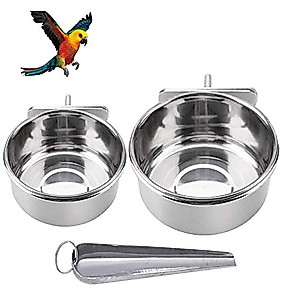 Parrot Feeding Bowls, Bird Cage Cups Holder - Stainless Steel Food and Water Dish, Bird Feeders with Clamp for Parakeet African Greys Conure Cockatiels Lovebird Budgie Chinchilla