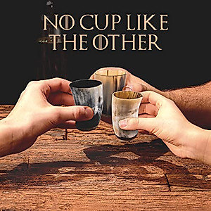 VIKING CRAFT Drinking Horn Mug - Hand Crafted 20oz Beer Mug Set with 2 Horn Cups - Great Viking Gifts for Men, Viking Decor Beer Stein, Norwegian Mead Tankard Mug, Medieval Viking Mug, Coseplay, LARP