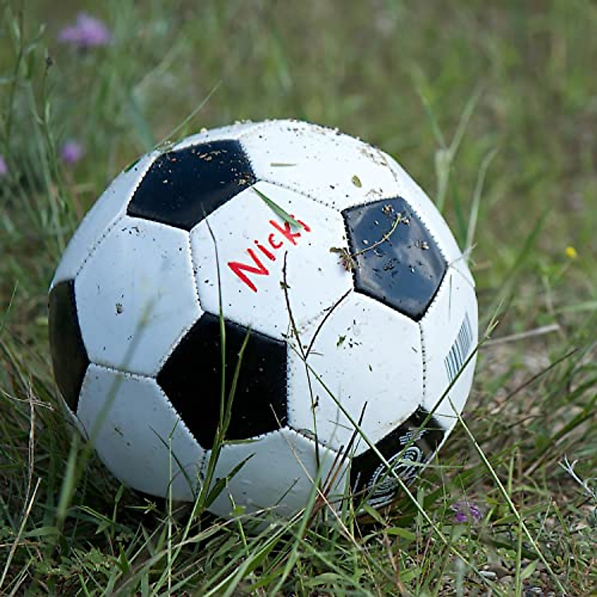 Sharpie Extreme Permanent Markers, 2-Pack, Black (1919845)