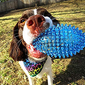 Gnawsome™ 4.5” Spiky Squeaker Football Dog Toy - Large, Cleans Teeth and Promotes Good Dental and Gum Health for Your Pet, Colors Will Vary,All Breed Sizes