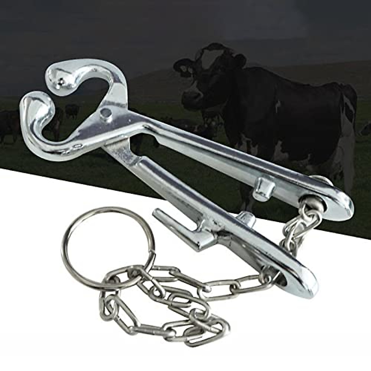 Colcolo Cattle Nose Rings Pliers Piercing Smooth Durable Farm Equipment Bovine Clip for Livestock
